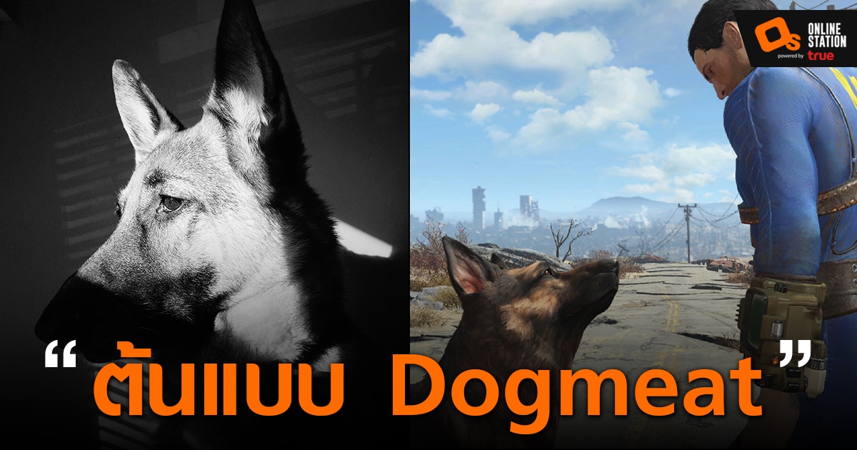 River น้องหมาต้นแบบตัวละคร Dogmeat ใน Fallout 4 ได้เสียชีวิตลงแล้ว