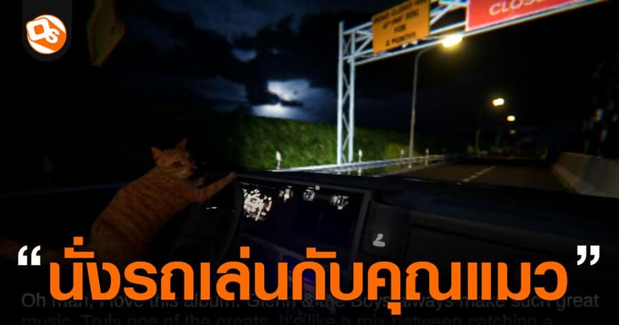 Nip for Speed เกมสุดแหวกที่จะพาเราไปนั่งรถเล่นโดยที่มีแมวเป็นผู้ขับ!