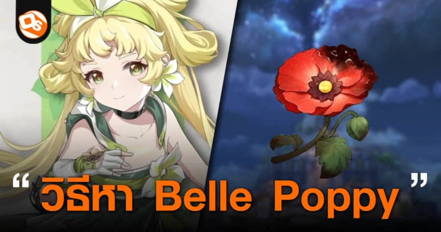[ไกด์เกม] Wuthering Waves ตำแหน่งและที่ตั้งดอก Belle Poppy