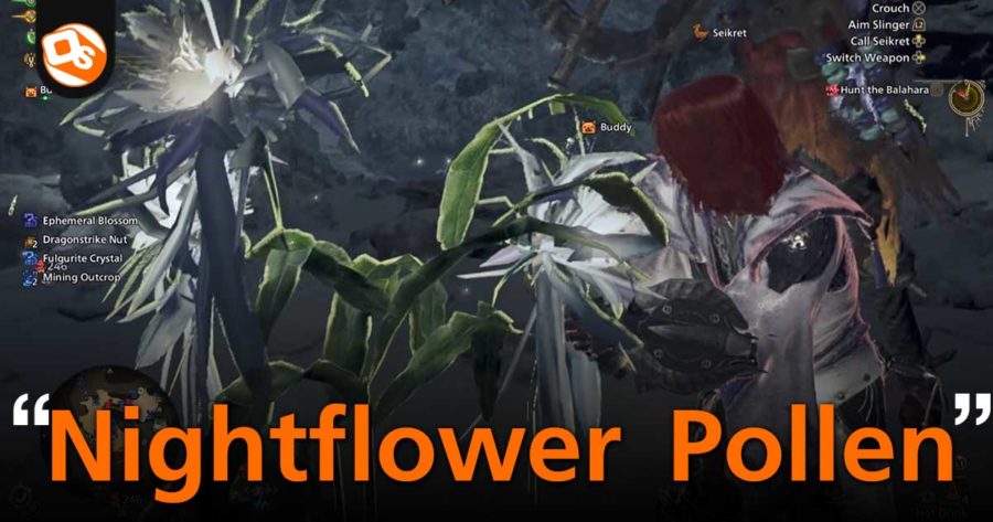 Monster Hunter Wilds - การฟาร์ม Nightflower Pollen เพื่อแลกตั๋วทองทำของ ...